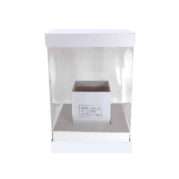 Empaque DE Regalo Cubo Clear 20x20x30cm /cod. 169-2410-18 - Sol naciente